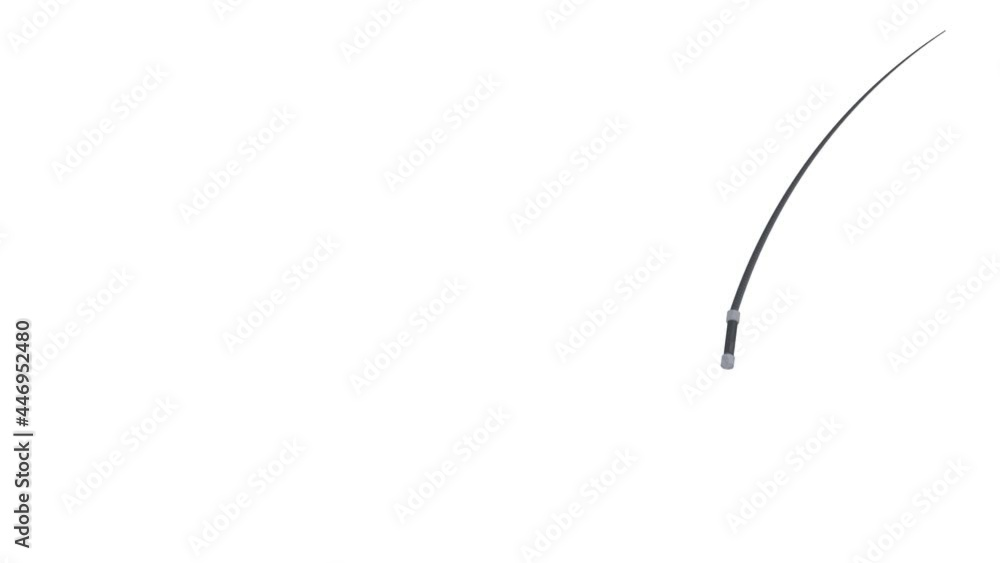 Knout. Animation of whipping with a whip, the alpha channel is turned ...