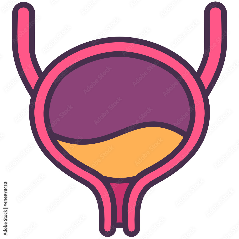 Excretory System Stock Vector | Adobe Stock