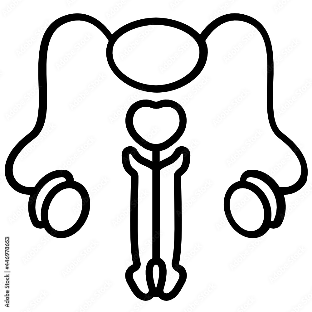 Male Reproductive System Stock Vector Adobe Stock