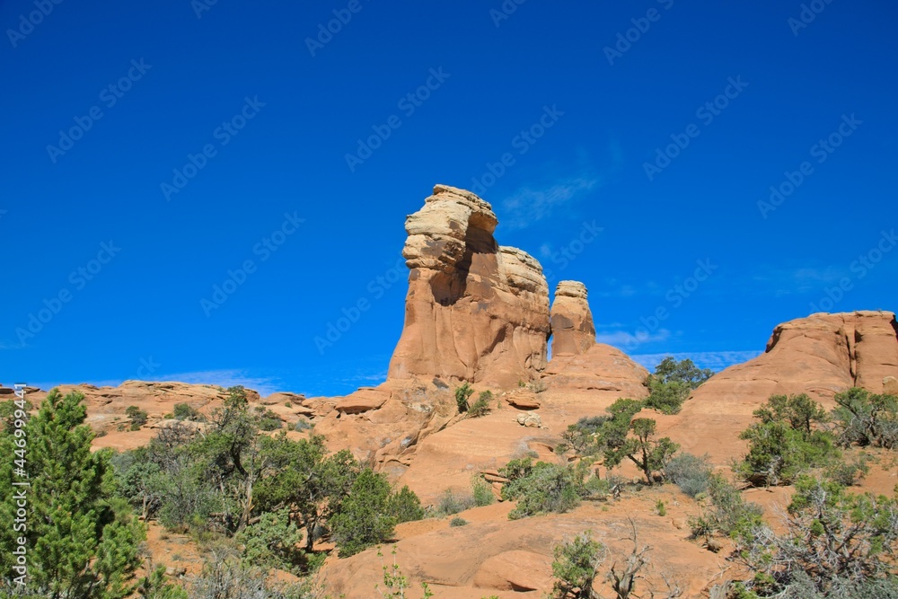 Arches National Park, Utah, USA. the landscape of contrasting colors ...