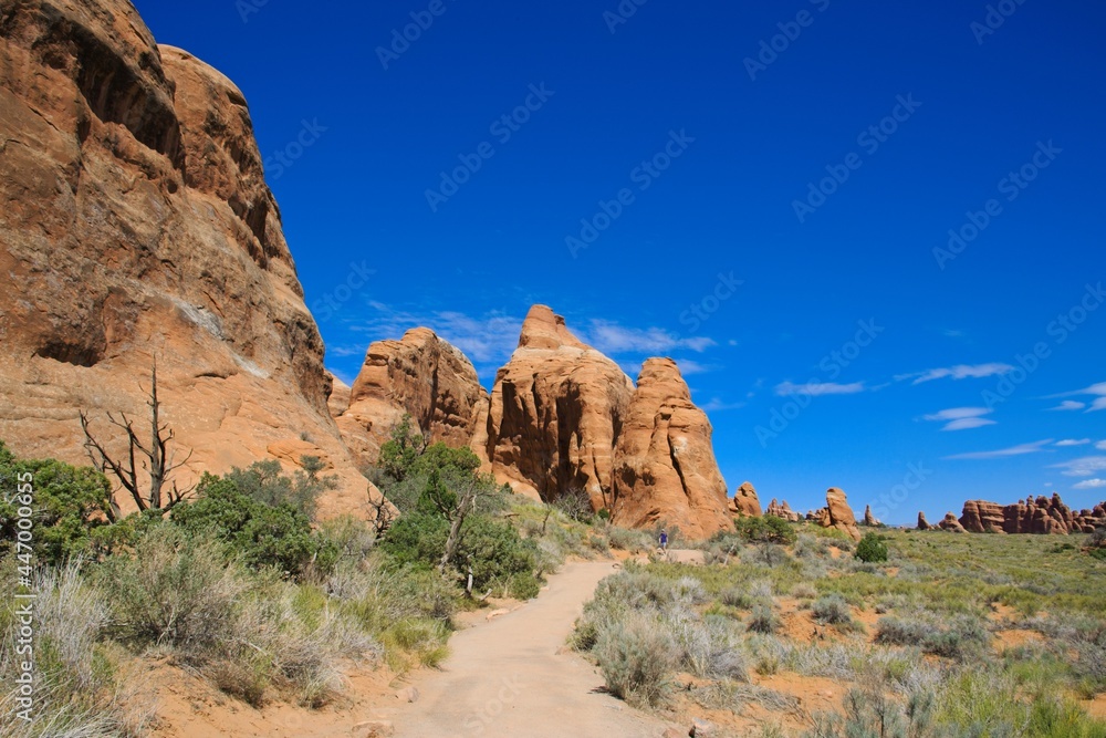 Arches National Park, Utah, USA. the landscape of contrasting colors ...