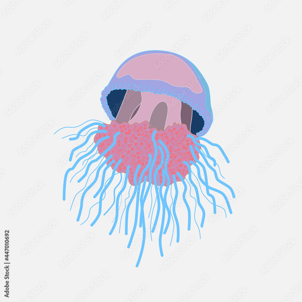Multi-colored vector jellyfish. Sea creatures of bright colors of the ...