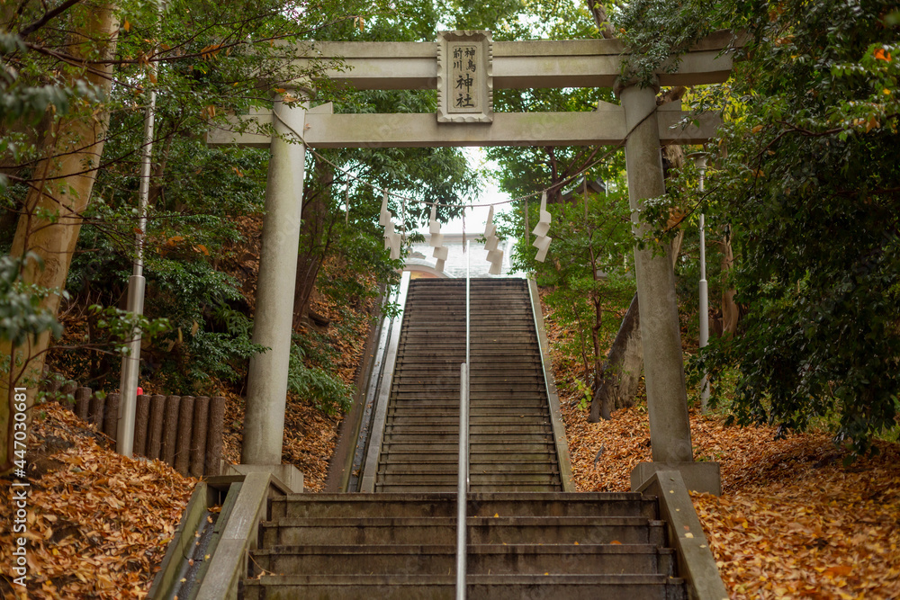 torii gate and stairs of shitotomaekawa shrine surrounded by autumn ...