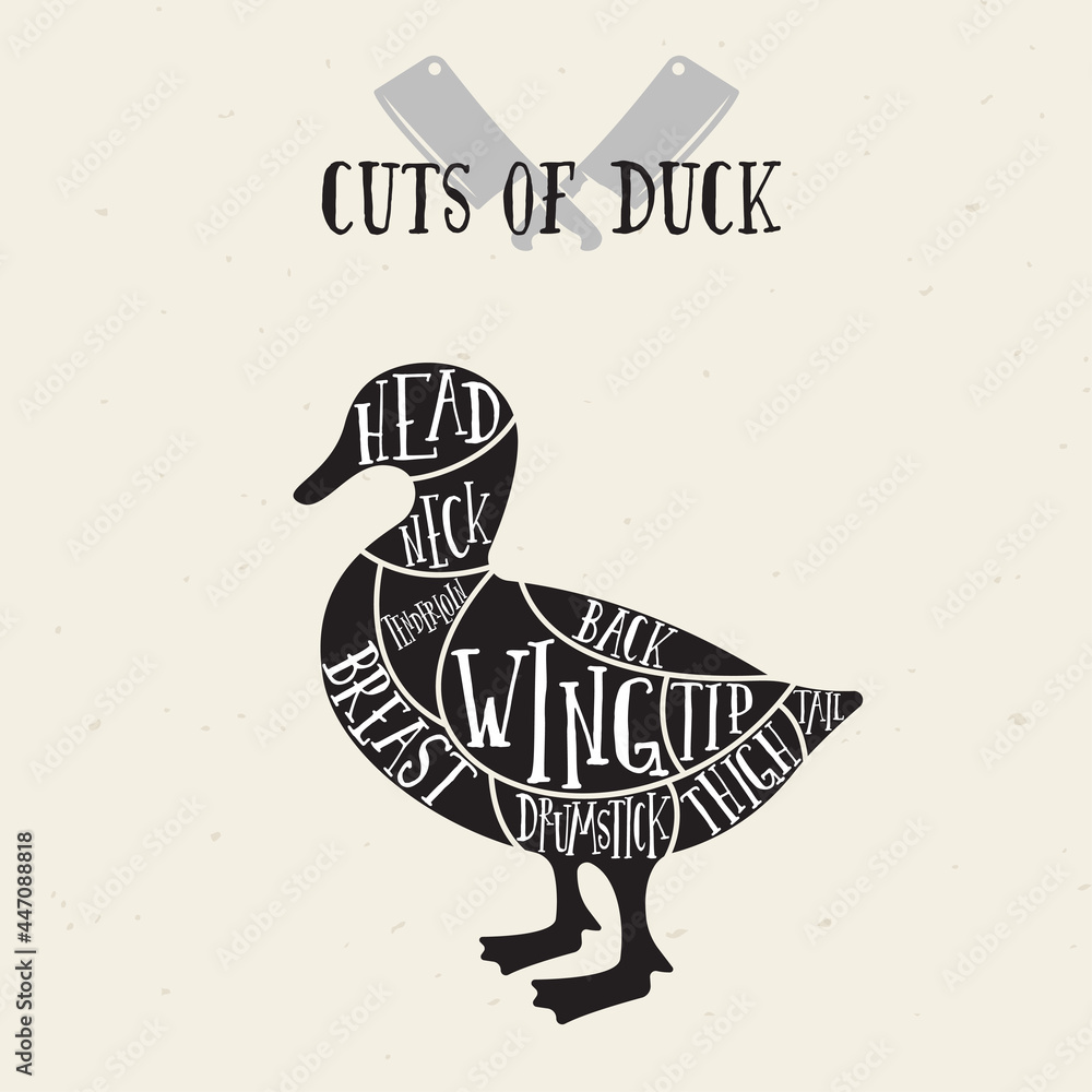 Meat cuts - duck. Diagrams for butcher shop. Scheme of duck. Animal ...