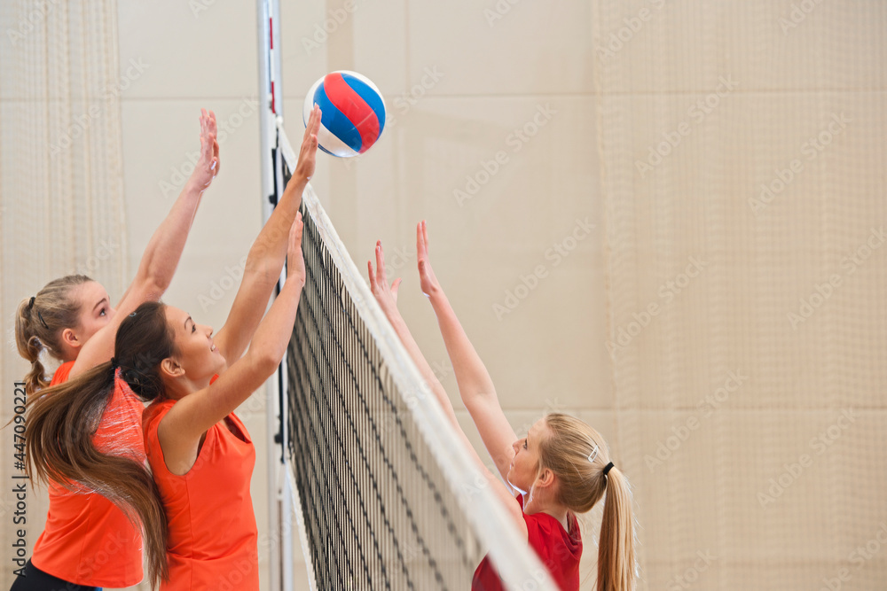 teenage girls at volleyball practise in indoor sports hall Stock Photo ...
