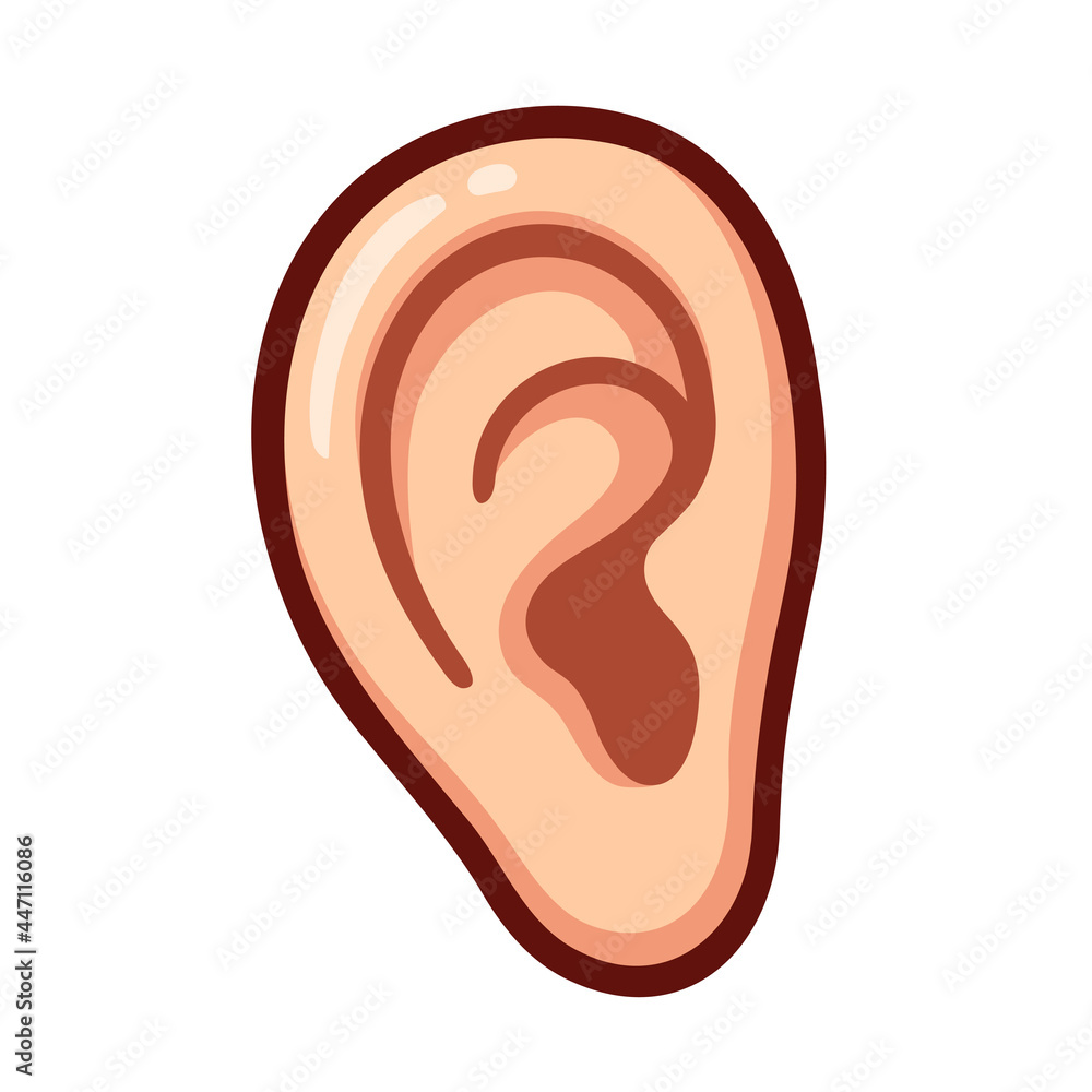 Cartoon ear drawing Stock Vector | Adobe Stock