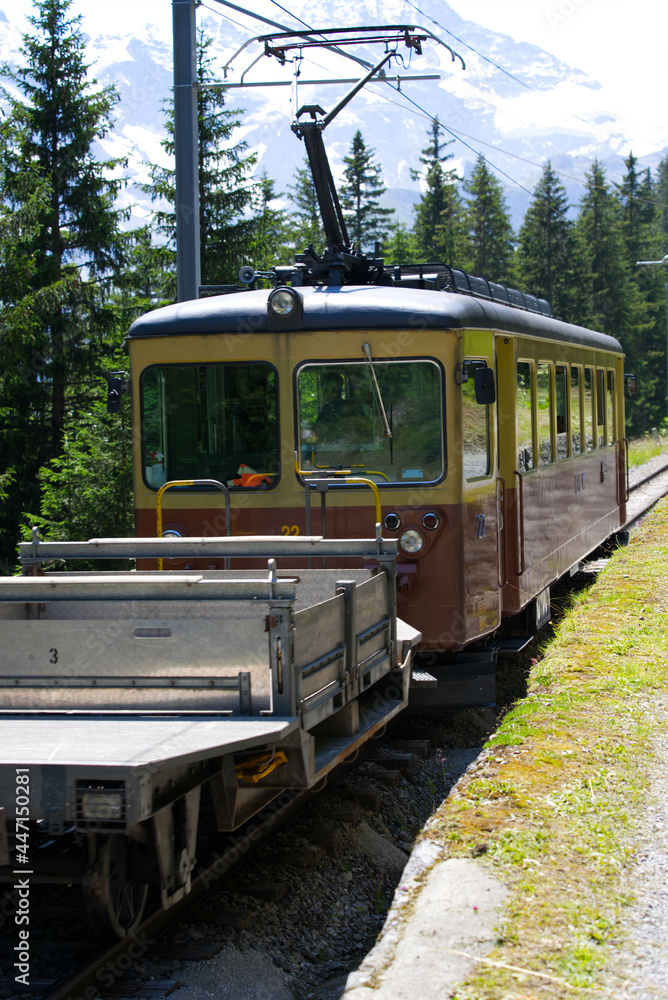Train of the Lauterbrunnen–Mürren Mountain Railway BLM at the Bernese ...
