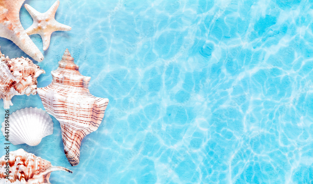 Seashells on the summer beach in sea water. Summer background. Summer ...