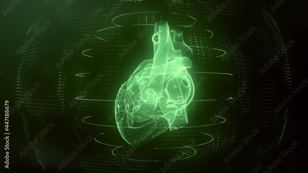 Anatomically correct green digital human heart seamless loop ...