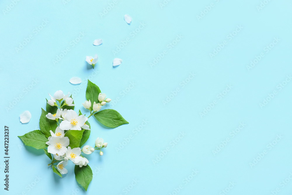 Jasmine Flower Pictures Color | Best Flower Site