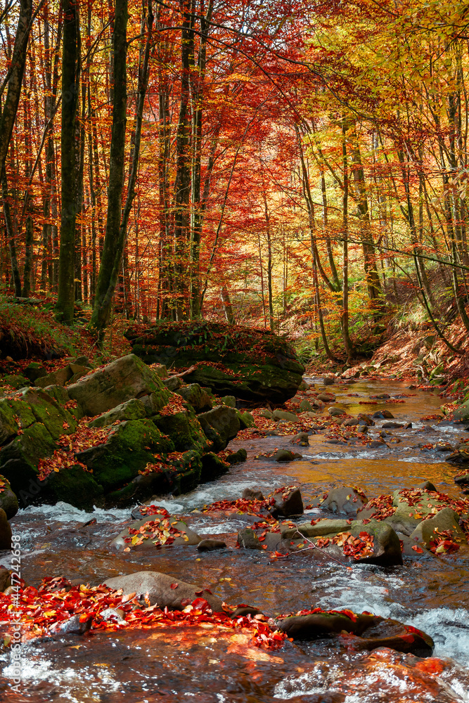 autumn scenery with river. beautiful nature landscape in autumn season ...