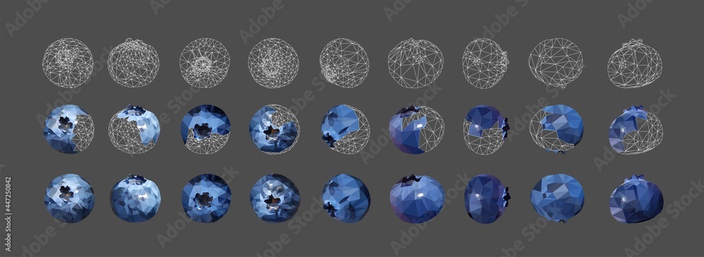 Set of Blueberries tasty and delicious isolated on grey. Low poly ...