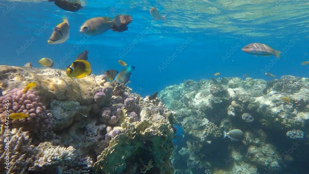 Sailing through a rift in a coral reef in morning sunrays. Sun rays in ...