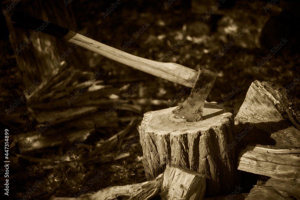 Firewood and logs in one pile, with an ax hammered into the log ...