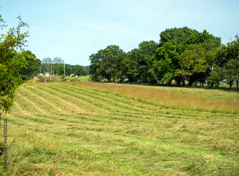 One can almost smell the fresh aroma of freshly mown hay fields from ...
