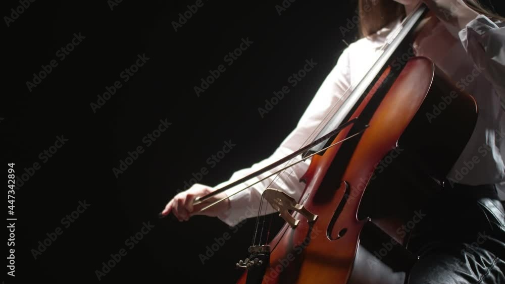 Vidéo Stock Female hands playing cello on black background, closeup ...