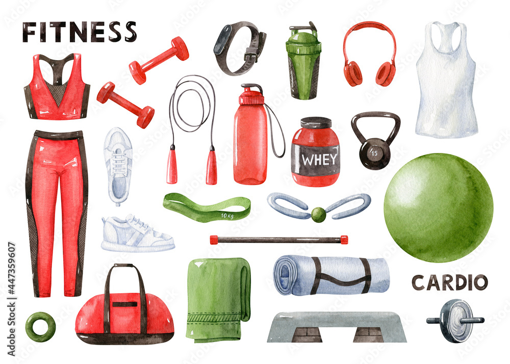 Fitness equipment - watercolor clipart set. Gym accessories, female ...
