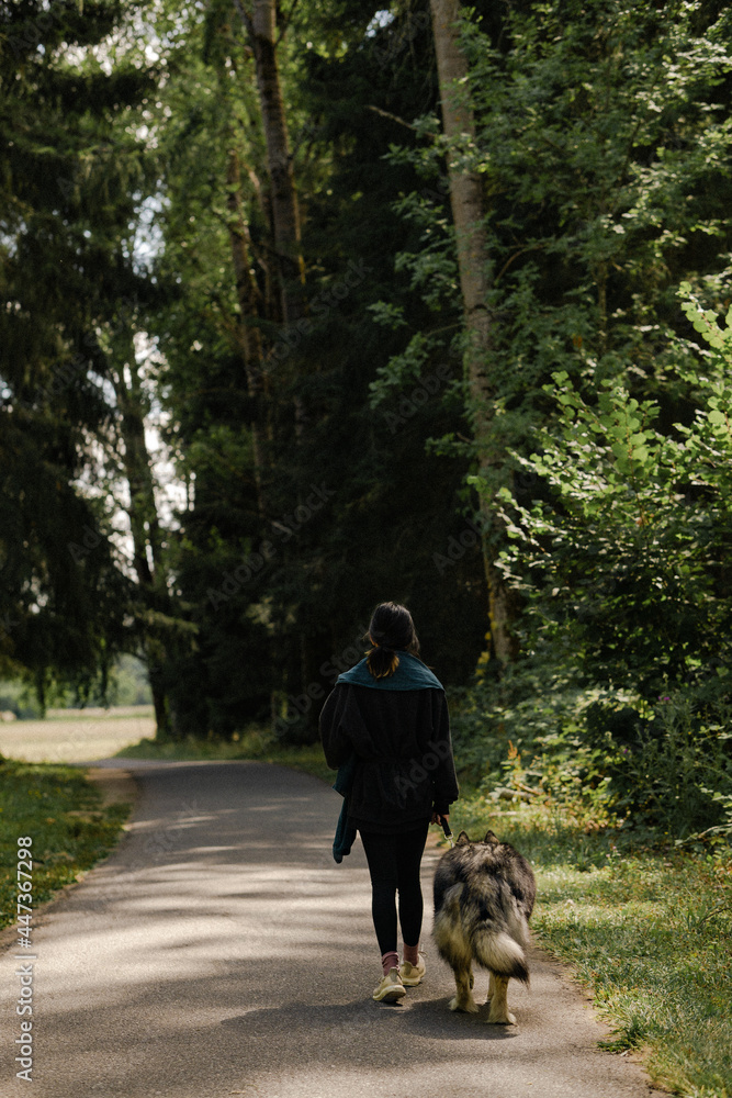 person walking with dog Stock Photo | Adobe Stock