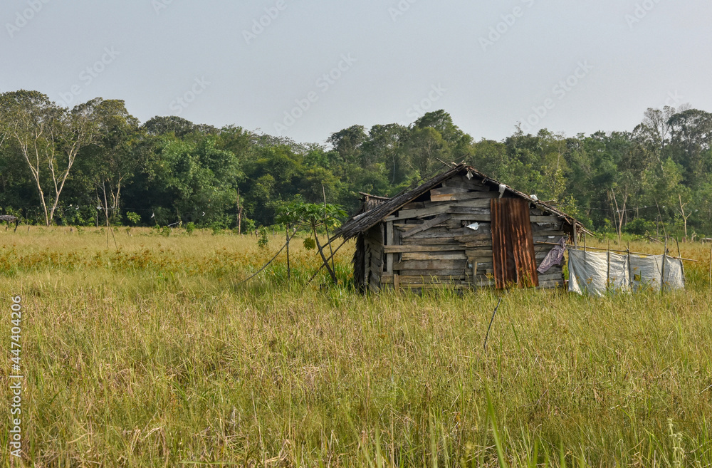 Poster Simple Hut in Rice Farm – Wall Art | UkPosters