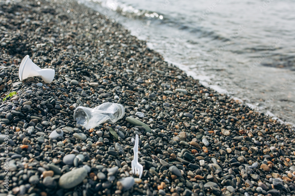 Plastic garbage on the sea beach. The problem of environmental ...