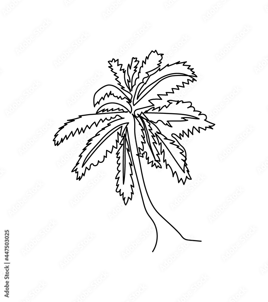 Tropical palm tree one line art. Continuous line drawing of plants ...