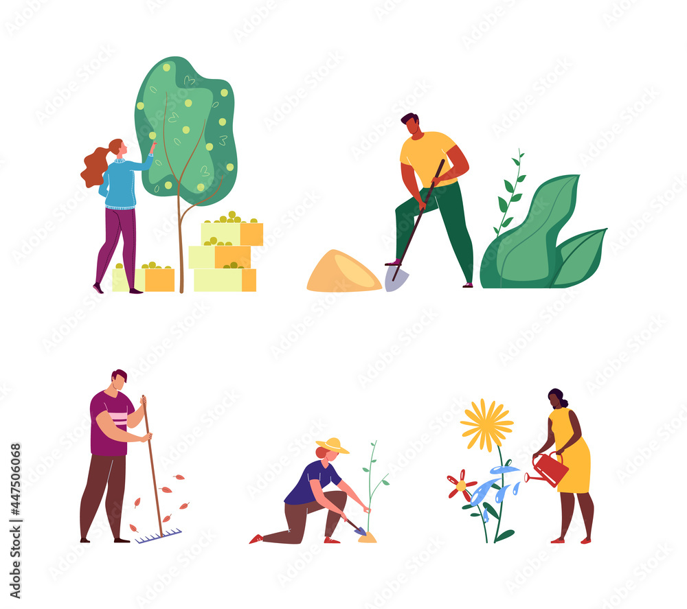 Work in the park, garden, landscape design, planting young trees ...