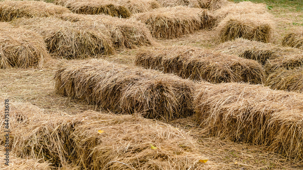 Seats and tables made from straw bales for event and party laid on lawn ...