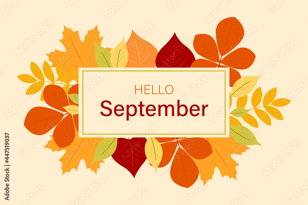Hello September banner. Autumn background with leaves. Vector graphics ...