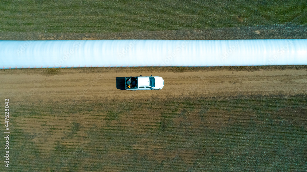 Aerial view of 4x4 pickup truck driving through wheat crops field with ...