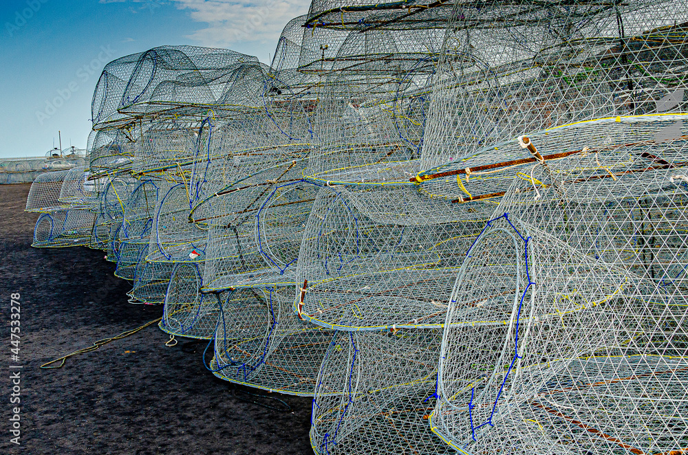 Wire fish trap used in traditional fishing in Qatar Stock Photo | Adobe ...