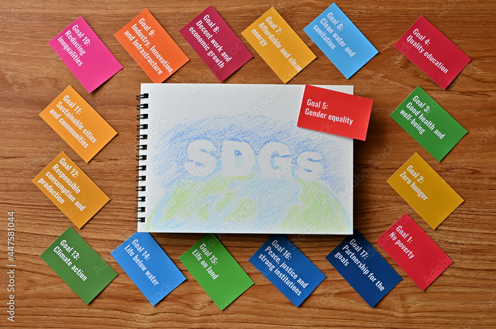 There is card with the statement Goal 5:Gender equality. It is one of ...