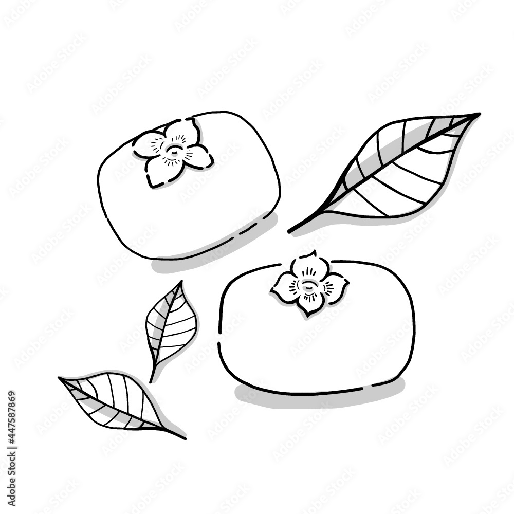 Japanese food illustration. Hand drawn sketch. Japanese fruits. Vector ...