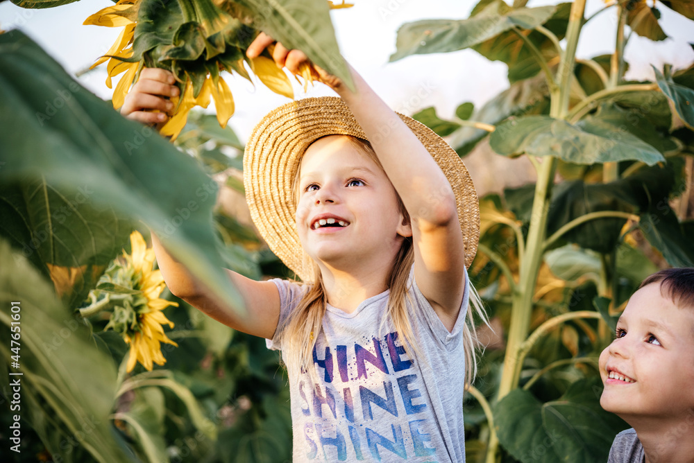 Happy children among huge sunflowers in the sunflower field in the ...