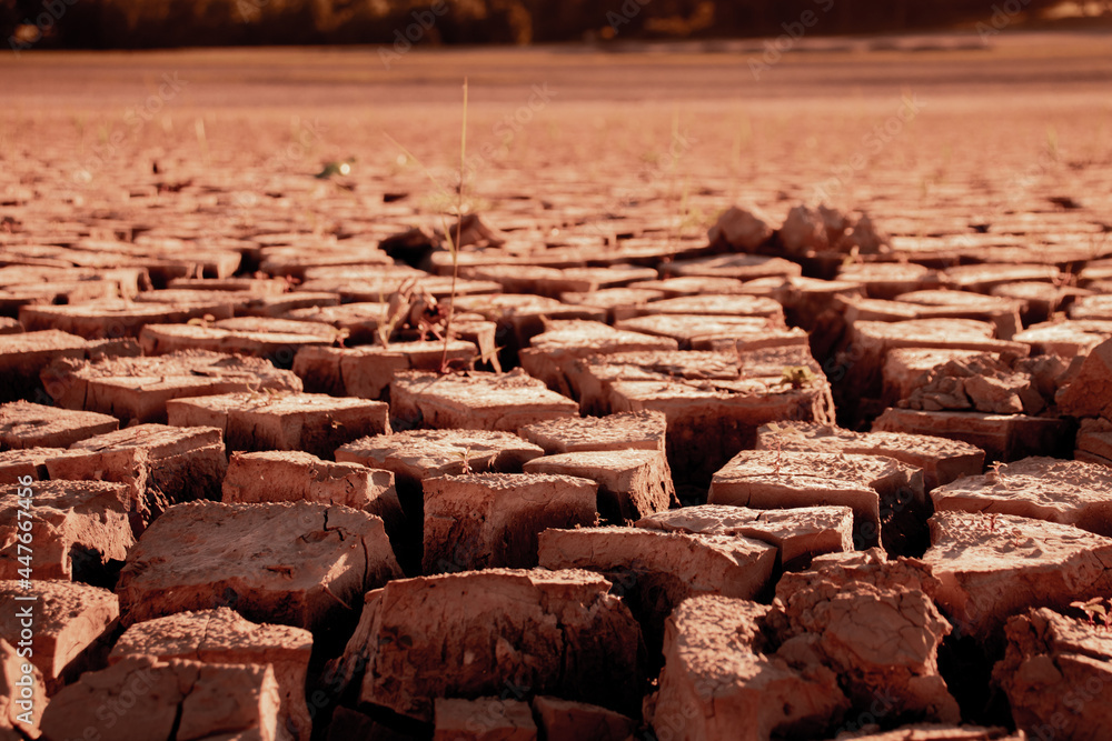 Dry cracked Lake bed. Drought concept image, Dry Ground Texture ...