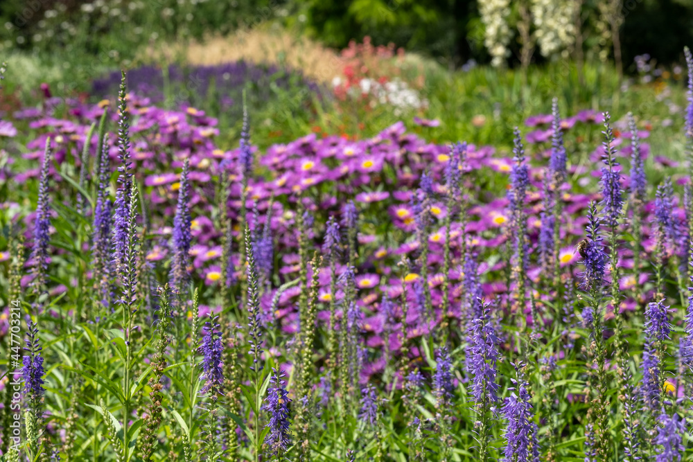Colourful garden influenced by the naturalistic planting of the New ...