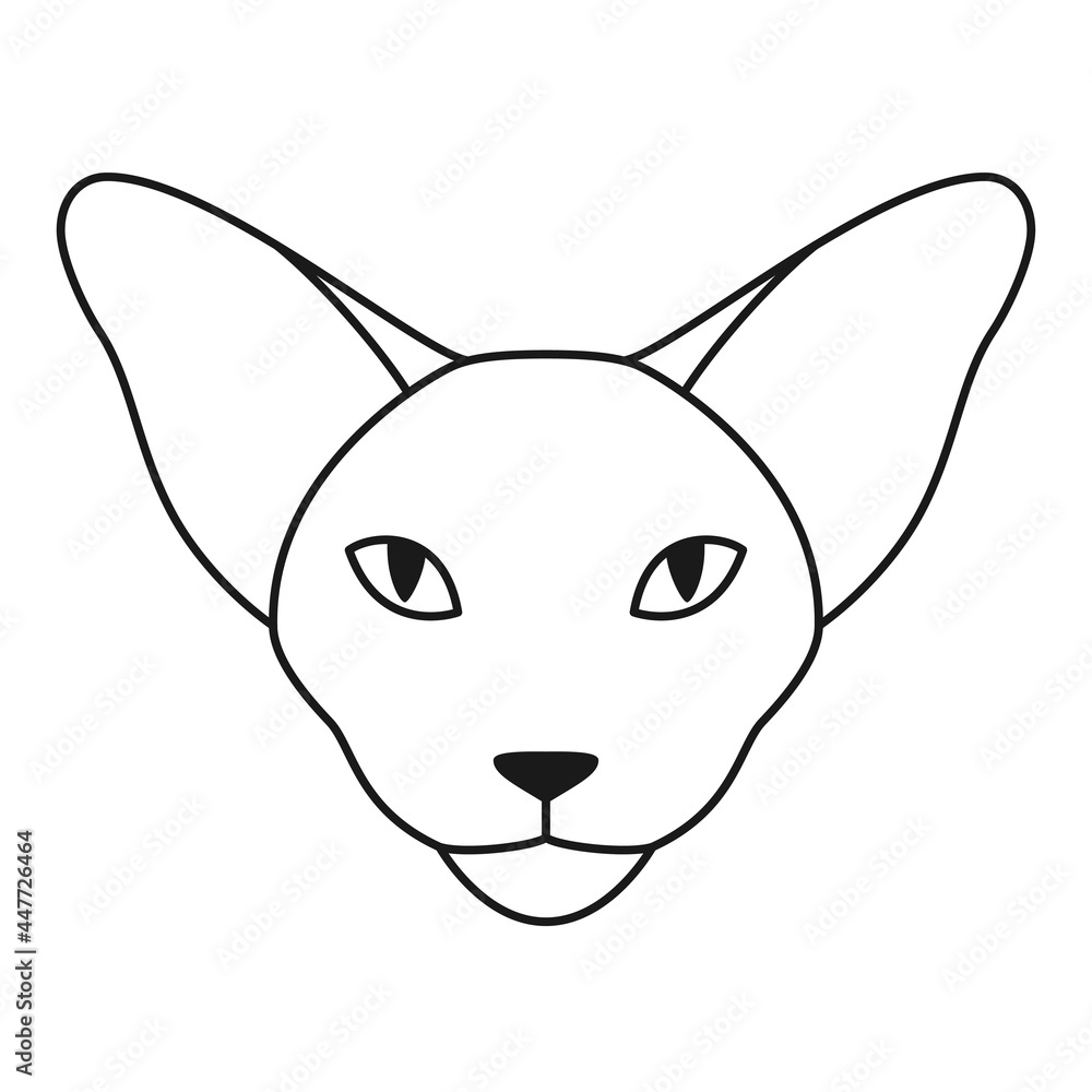 Oriental cat logo or icon. Oriental shorthair or Sphynx cat head in ...