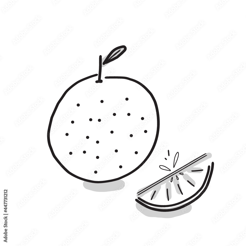Japanese food illustration. Hand drawn sketch. Japanese fruits. Vector ...