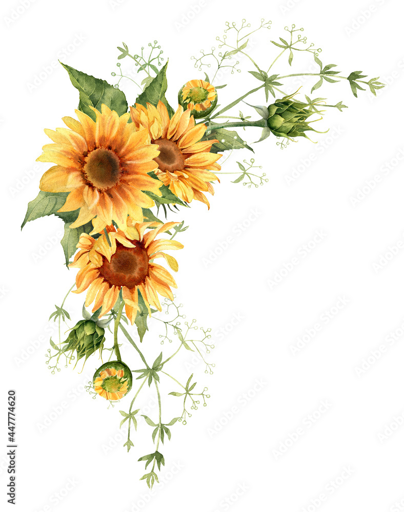 Sunflower clipart. Watercolor floral illustration. Yellow flowers for ...