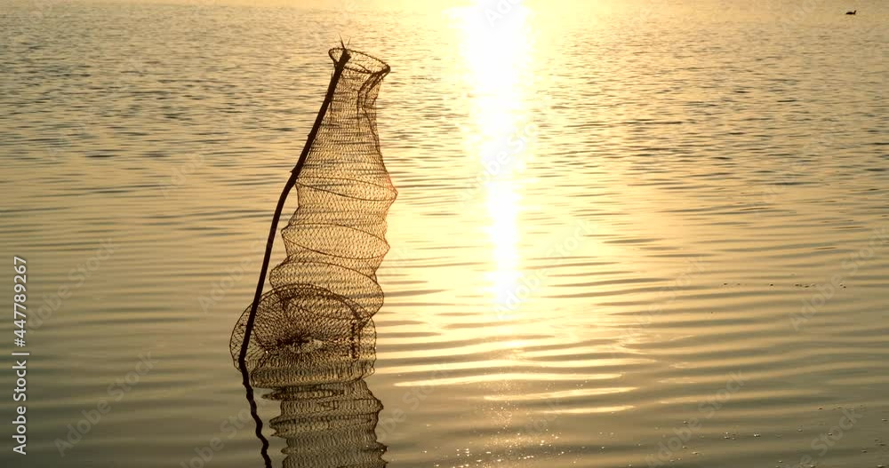 Stockvideo Fishing netting cage lies on the shore of a river or pond ...