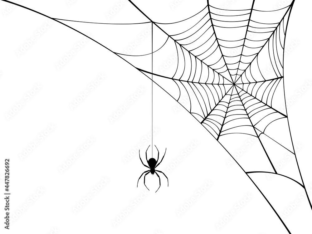 Corner spider web with black spider. Stock Vector | Adobe Stock