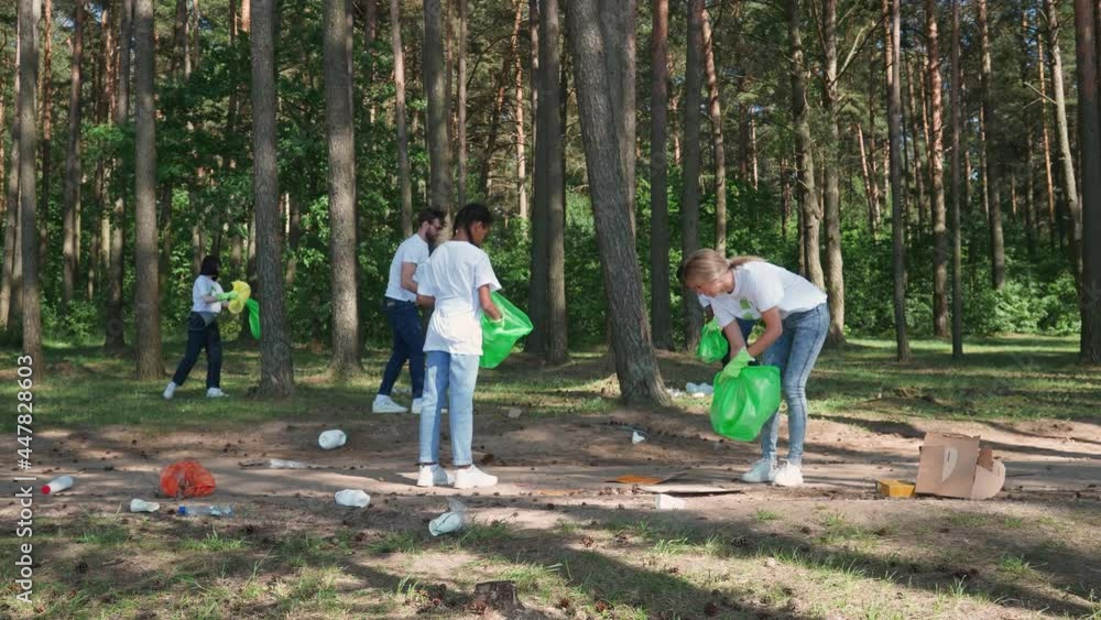 Eco-activists and volunteers clean up garbage in the forest, fight ...