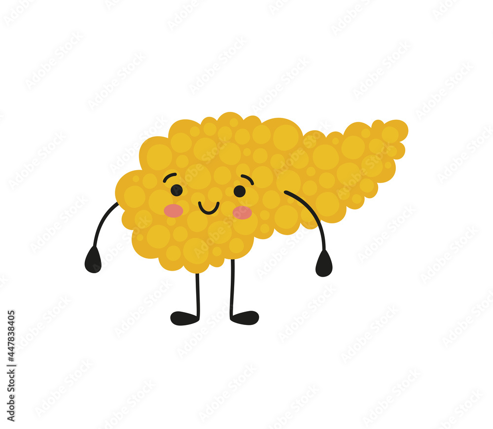 Pancreas kawaii healthy character with smile. Drawing of a healthy ...