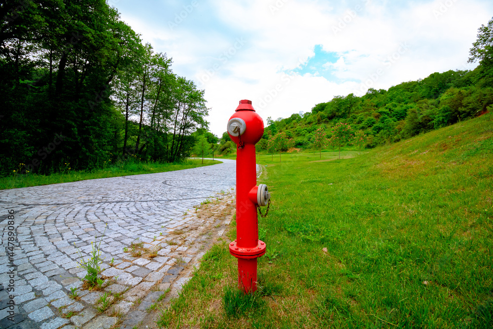 Fire Hydrant in the forest. Protection of the forest by fires. Red fire ...