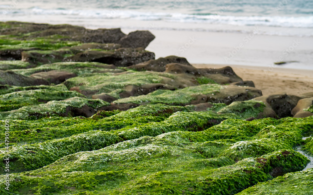 Fotografia do Stock: View of Laomei Green Reef (Stone troughs) at New ...