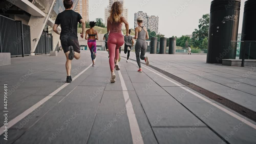 Vidéo Stock Back view of big team of athletes has a group training ...