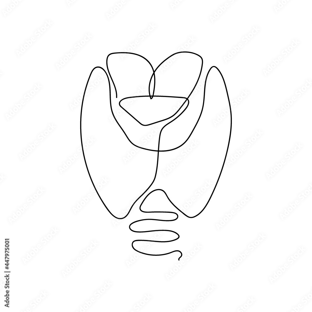 Human thyroid gland one line art. Continuous line drawing of human ...