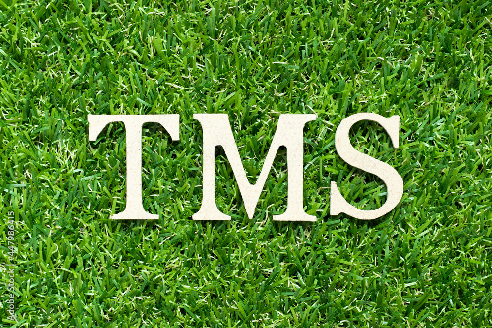 Alphabet letter in word TMS (Abbreviation of Transportation management ...