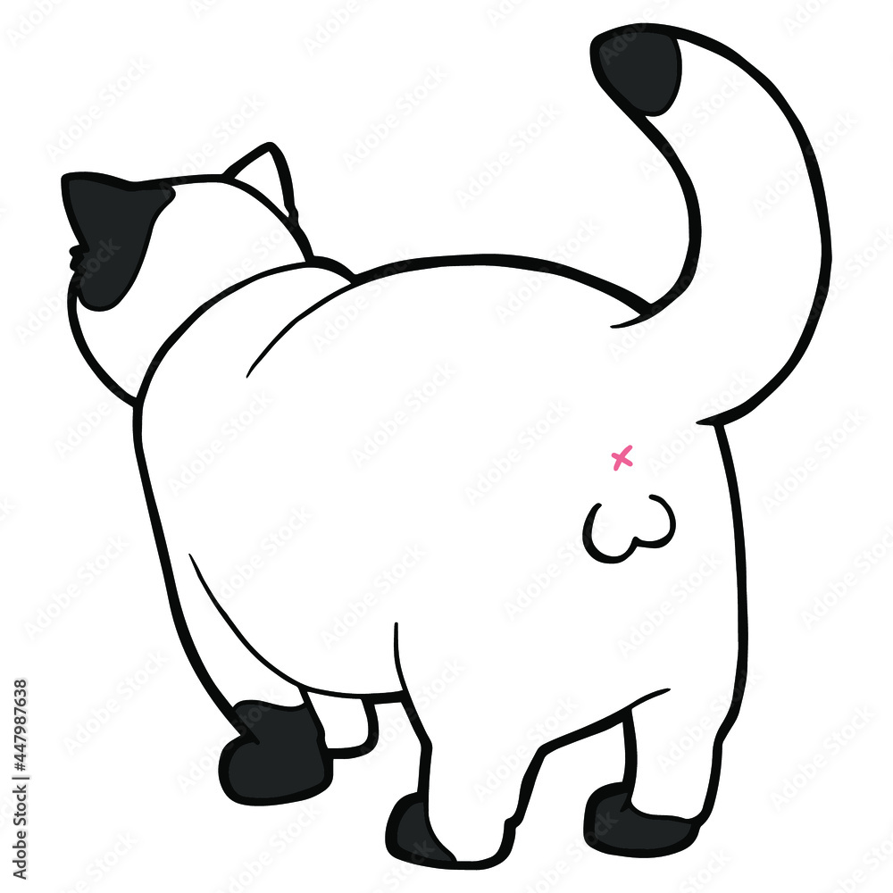Spotted cat with large testicles. Back view. Coloring page. Black ...