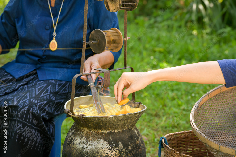 Crafts and craftsmanship. Traditional Isan Thai silk indigo weaving ...