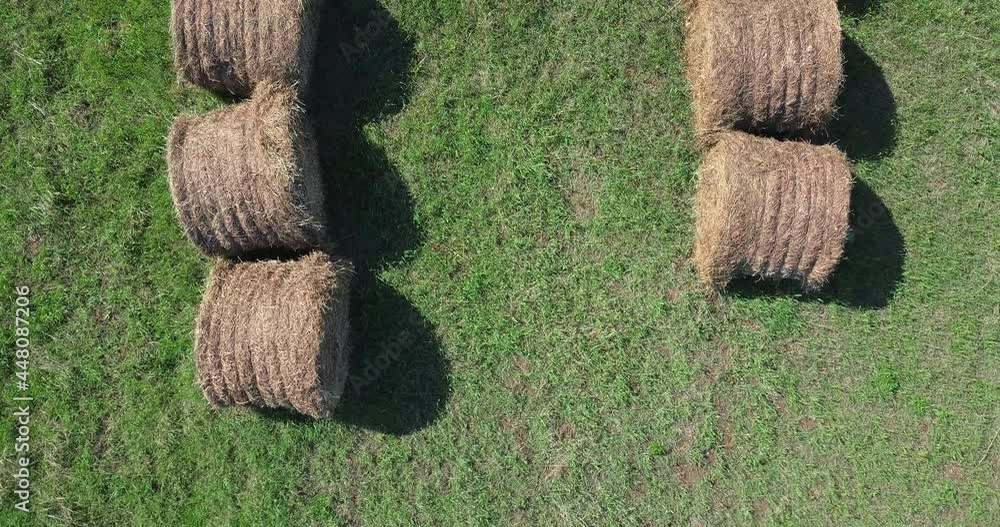 Aerial view of multiple hay bales on the farming field. Hay bales are ...